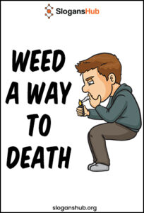 300 Catchy Anti Weed Slogans & Anti Weed Sayings