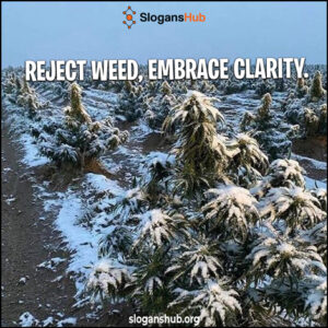 300 Best Anti Marijuana Slogan Ideas & Anti Marijuana Sayings