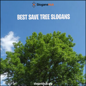 1300 Best Save Tree Slogans, Save Trees Quotes & Caption