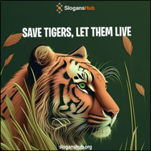 700 Catchy Save Tiger Slogans & Catchy Save Tiger Sayings