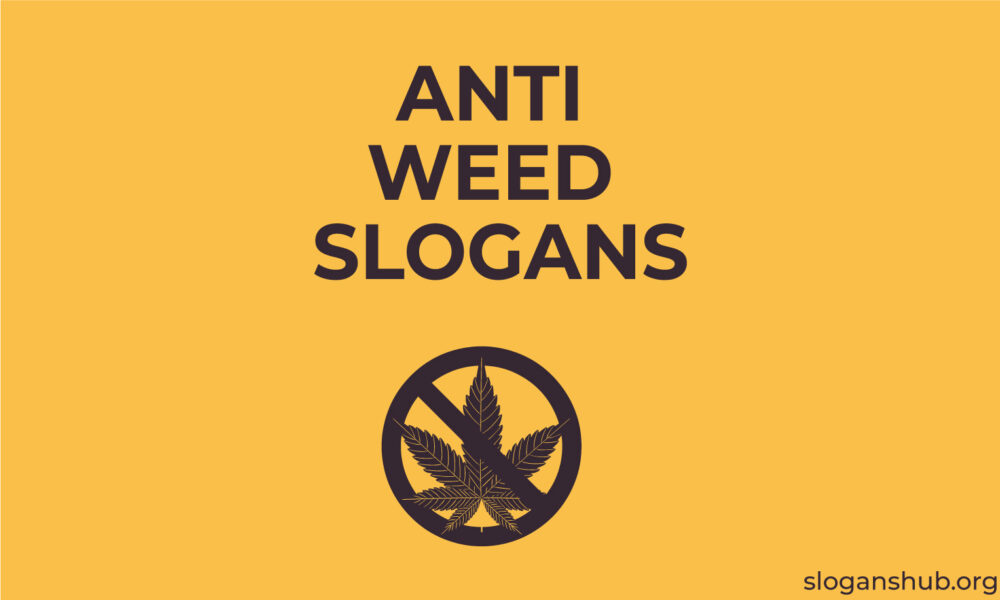 300 Catchy Anti Weed Slogans & Anti Weed Sayings