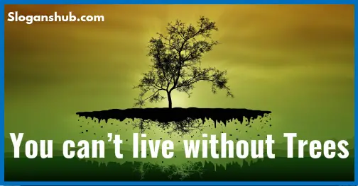 199 Best Save Tree Slogans and Taglines With Posters | Save trees ...