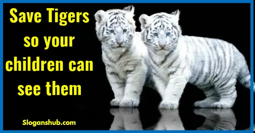 57 Great Save Tiger Slogans & Sayings