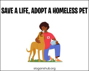 648 Catchy Pet Adoption Slogans & Cute Pet Adoption Sayings