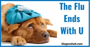 28 Catchy Flu Slogans