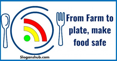 42 Catchy Food Safety Slogans