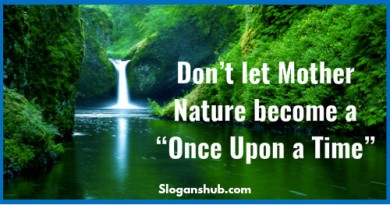 50 Catchy Rainforest Slogans With Pictures and Posters