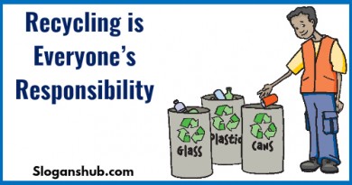 70 Best Recycle Slogans and Sayings With Pictures