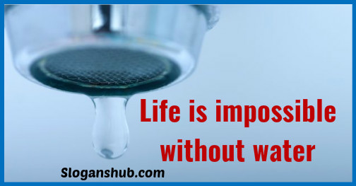 60 Catchy Water Slogans