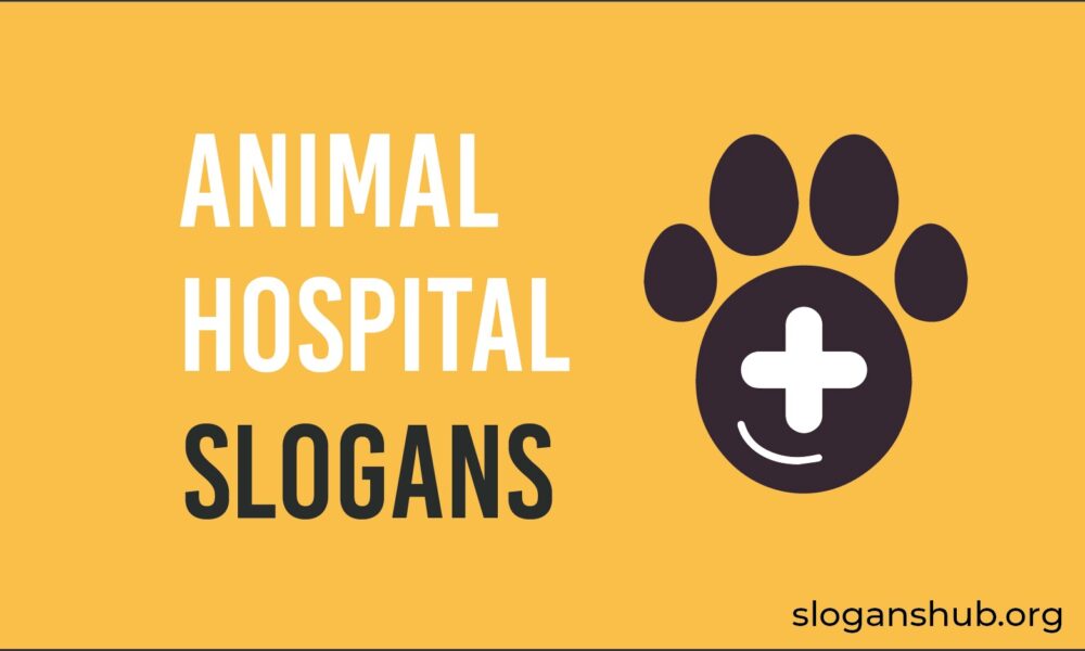 47 Catchy Animal Hospital Slogans | Veterinary Slogans