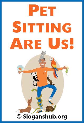 26 Catchy Pet Sitting Slogans And Taglines Slogans 47 Catchy
