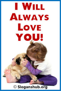 100 Unique Animal Shelter Slogans for Campaign & Fundraising