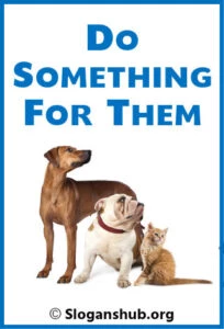 100 Unique Animal Shelter Slogans for Campaign & Fundraising