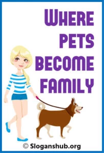 100 Unique Animal Shelter Slogans for Campaign & Fundraising