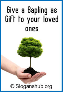 649 Best Save Tree Slogans, Save Trees Quotes, Status & Caption