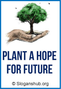 649 Best Save Tree Slogans, Save Trees Quotes, Status & Caption