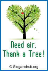 649 Best Save Tree Slogans, Save Trees Quotes, Status & Caption