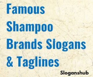 110 Best Shampoo Advertisement Slogans and Taglines