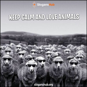 500 Save Wildlife Slogans & Save Endangered Animals Slogans