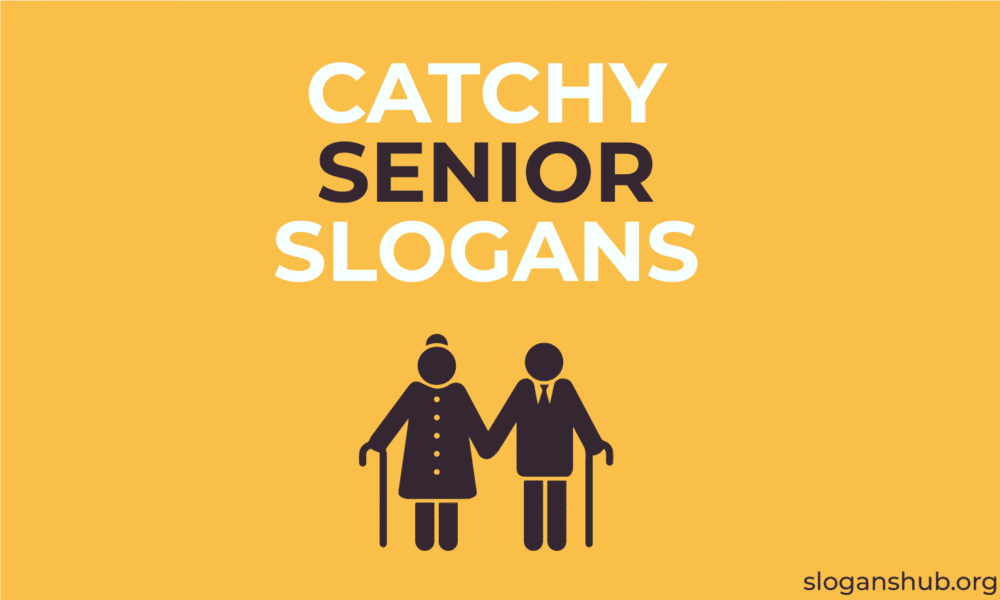 60 Catchy Senior 2018 Slogans and Funny Senior Slogans Slogans Hub