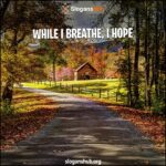 33 Catchy South Carolina Slogans, State Motto, Nicknames and Sayings