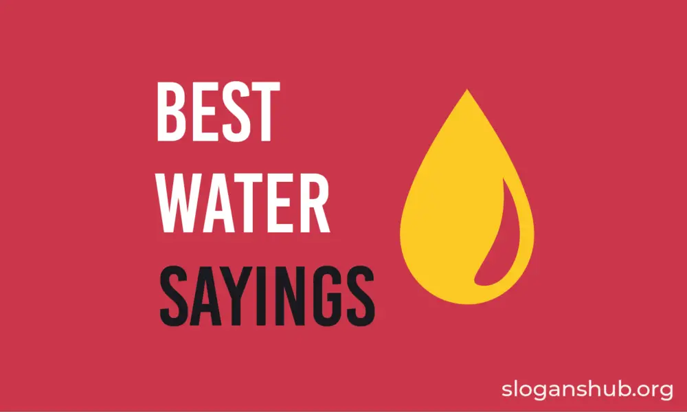 100 Best Water Sayings You'll Love