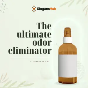 60 Catchy Air Freshener Slogans and Creative Taglines