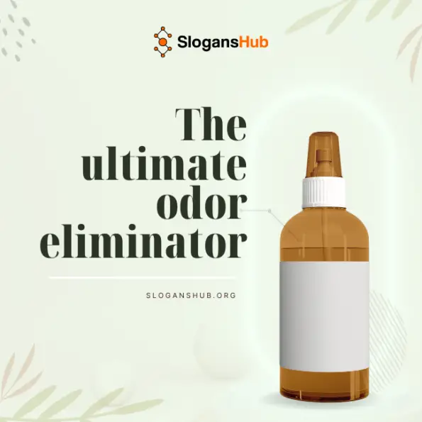 60 Catchy Air Freshener Slogans and Creative Taglines