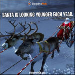 850+ Catchy Christmas Phrases and Christmas Card Phrases