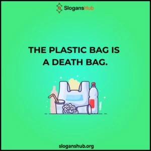 230 Catchy Plastic Pollution Slogans on Harmful Effects of Plastic