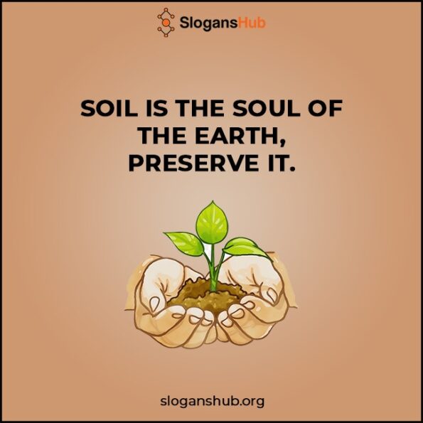 198 Useful Soil Pollution Slogans & Slogans on Land Pollution