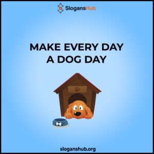 420 Catchy Dog kennel Slogans & Catchy Doggy Daycare Slogans