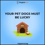 420 Catchy Dog kennel Slogans & Catchy Doggy Daycare Slogans