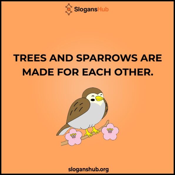 250 World Sparrow Day Slogans, Sparrow Day Quotes, Messages