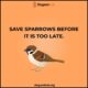 250 World Sparrow Day Slogans, Sparrow Day Quotes, Messages