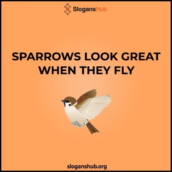 250 World Sparrow Day Slogans, Sparrow Day Quotes, Messages