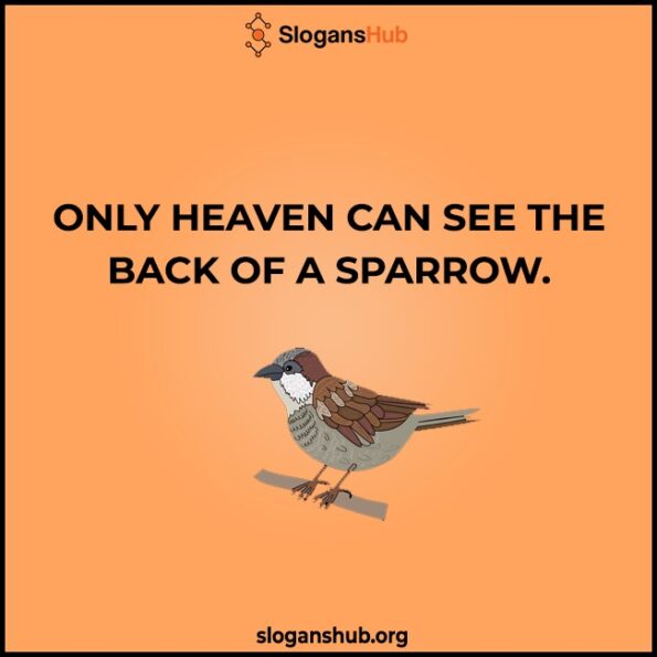 250 World Sparrow Day Slogans, Sparrow Day Quotes, Messages