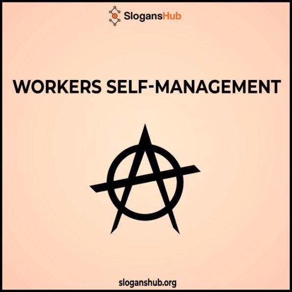 296 Best Anarchy Slogans | Anarchist Phrases & Anarchism Quotes