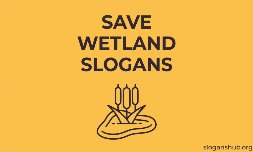 320 Useful Save Wetland Slogans & World Wetlands Day Quotes