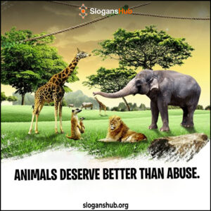 180 Animal Welfare Slogans to Aware People on Welfare Day 2025