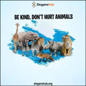180 Animal Welfare Slogans to Aware People on Welfare Day 2025