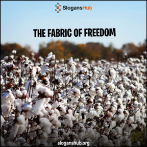 Catchy Cotton Slogans and Cotton Day Slogans