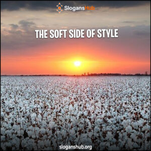 Catchy Cotton Slogans and Cotton Day Slogans