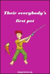 450 Catchy Fishing Phrases & Funny Fish Phrases