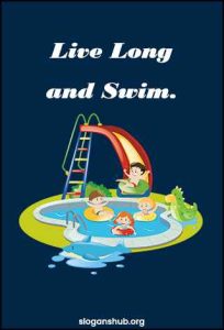 227 Unique Pool Slogans, Mottos & Puns: Dive into Best Ideas