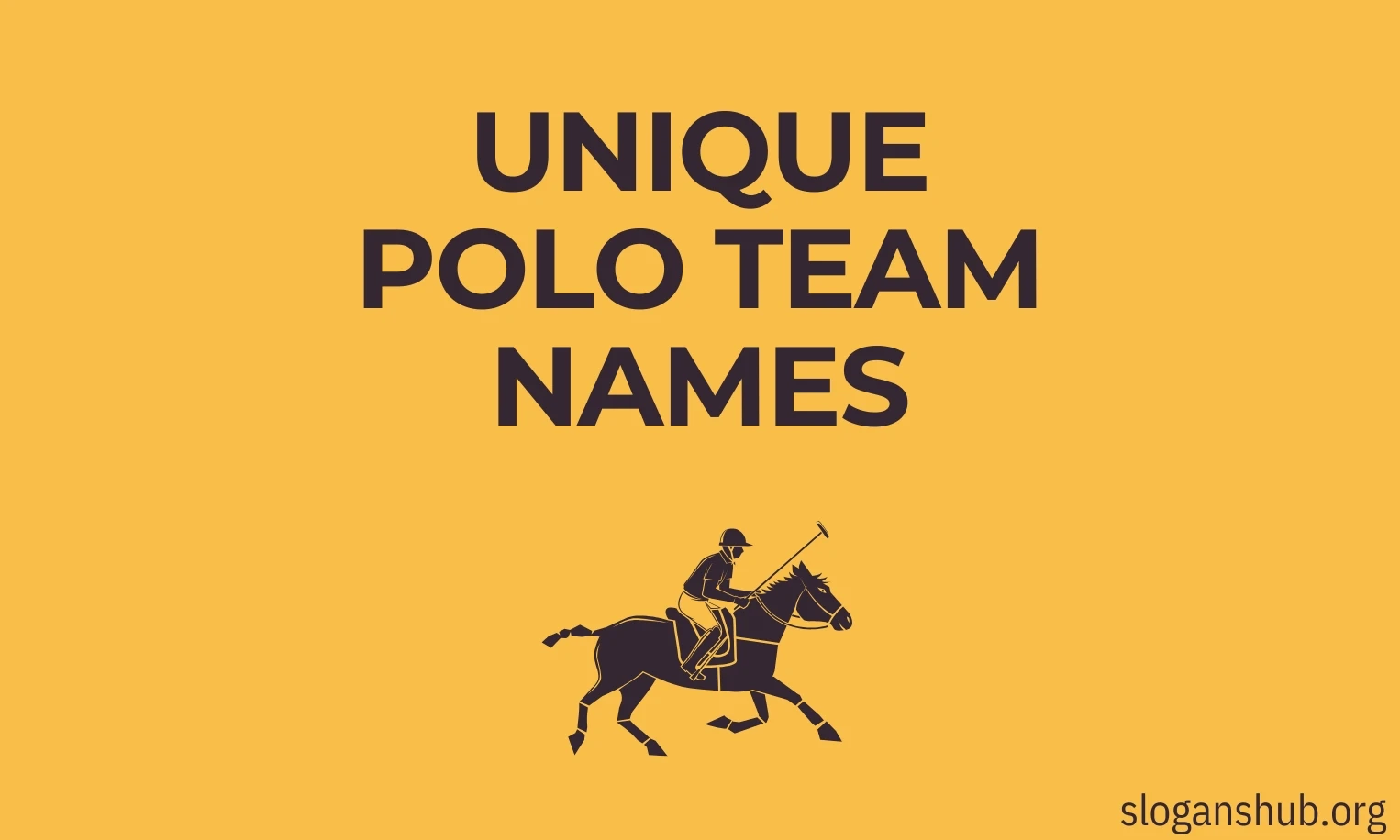 180+ Funny & Unique Polo Team Names